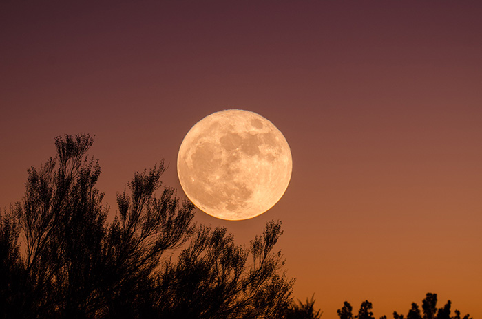 [Life] Autumnal equinox-One of The 24 Traditional Chinese Solar Terms ...