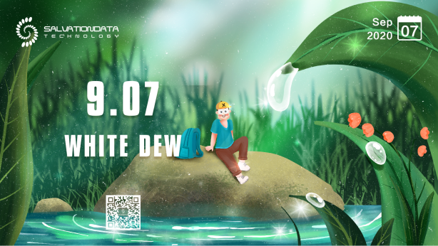 [Life] White Dew-One of The 24 Traditional Chinese Solar Terms ...