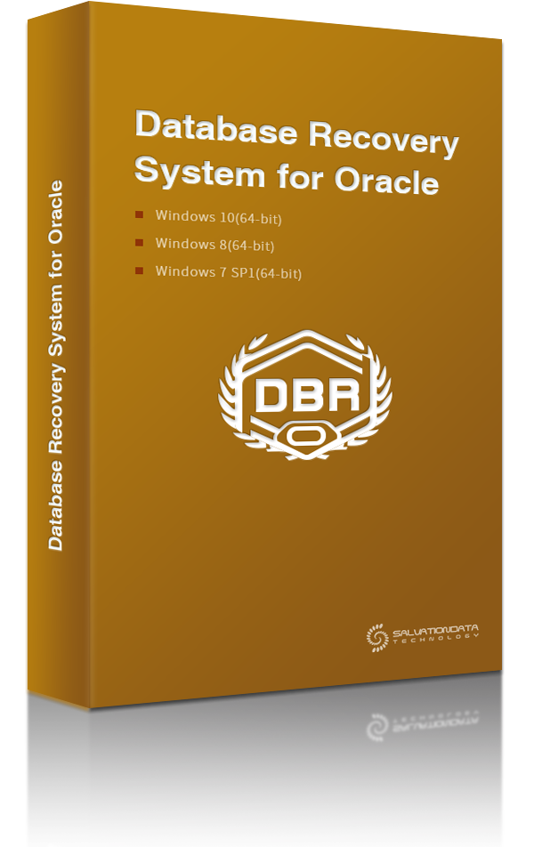 [Product Launch] The Efficient and Powerful Oracle Database Repair Tool ...